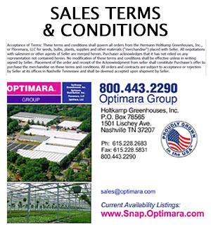 Optimara Catalogs: Award Winning African Violets