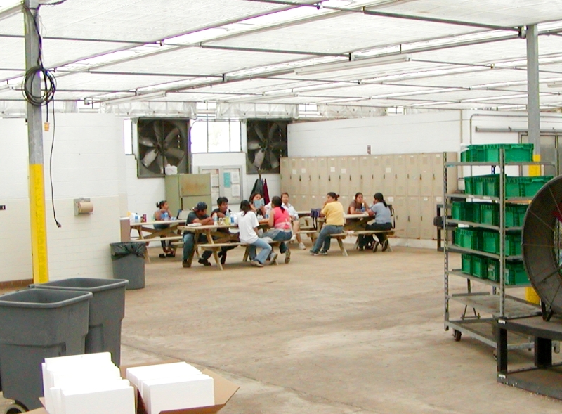 Untitled Document [www.optimara.com]